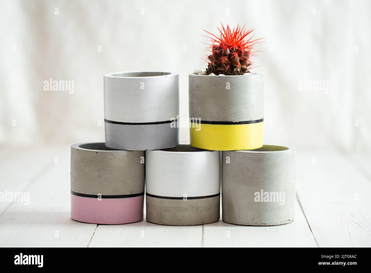 Cactus with red needles in a concrete pot on a textile background ...