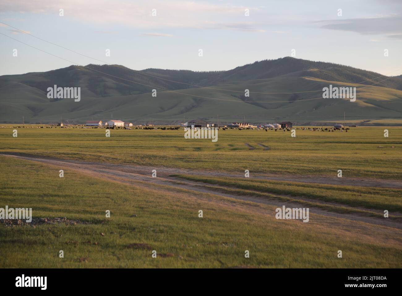 in the land of mongolia the nature and environment Stock Photo - Alamy