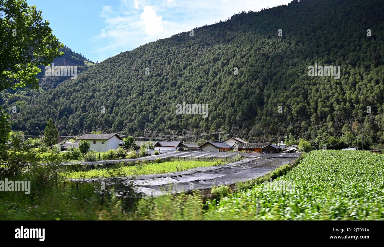 Views from the landscape on the way to Shangri-La in Yunnan province of ...
