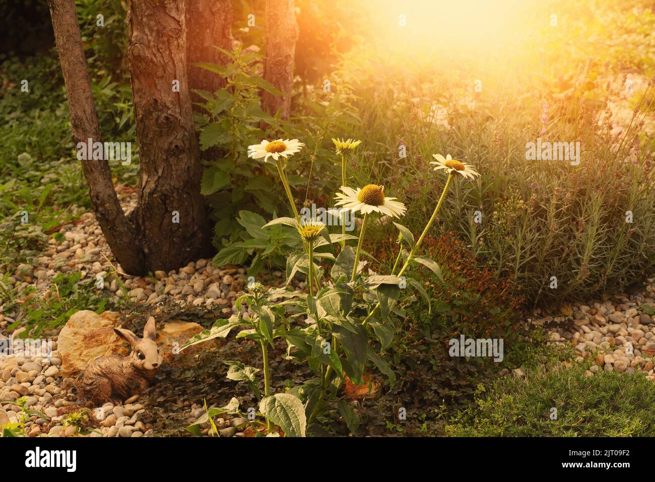 Decorated colorful flowerbed with stones as a decorative elements ...