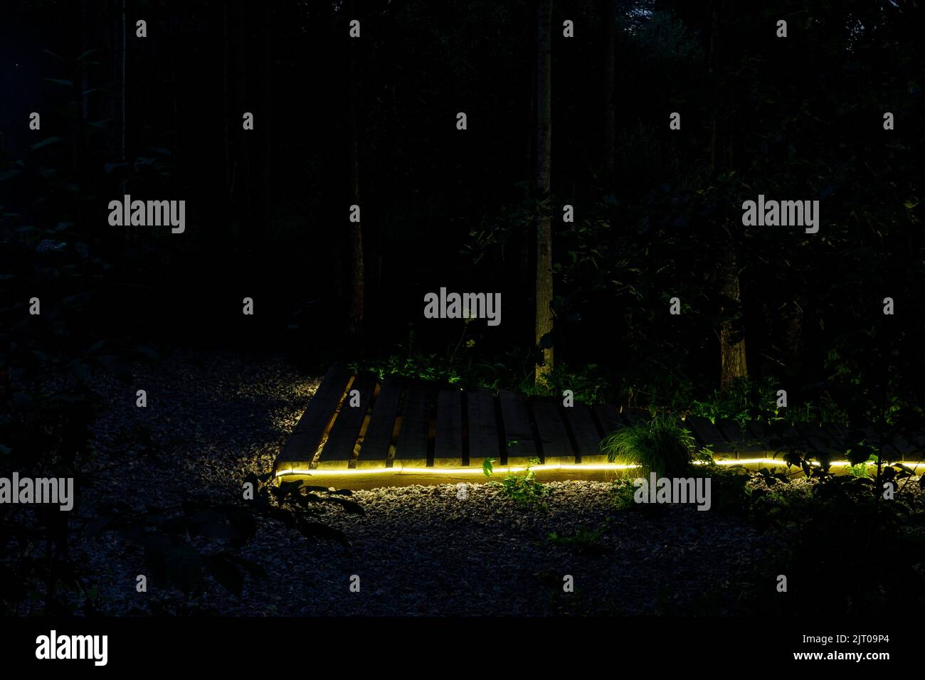 Night lights at the glamping in the forest Stock Photo - Alamy