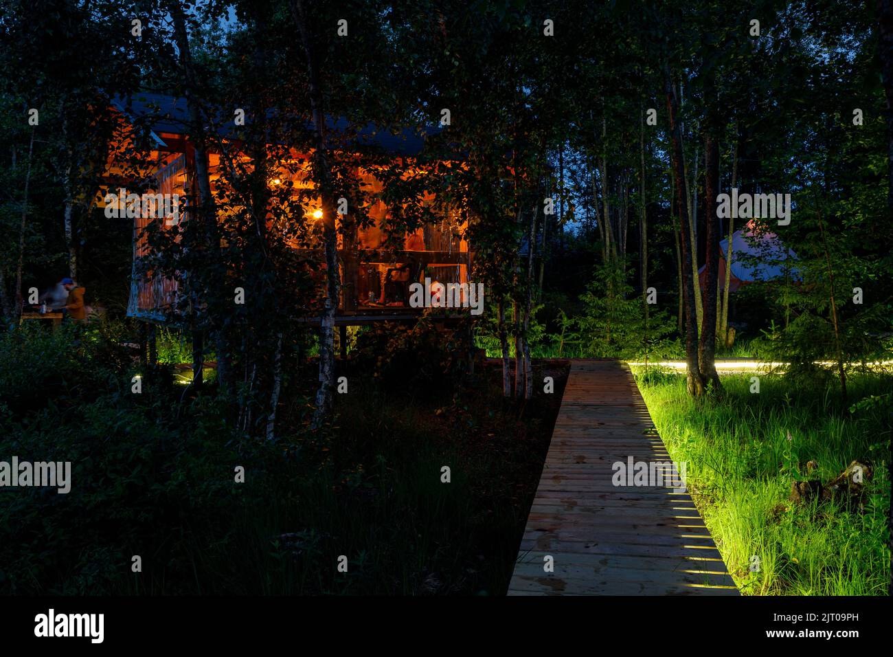 Night lights at the glamping in the forest Stock Photo - Alamy