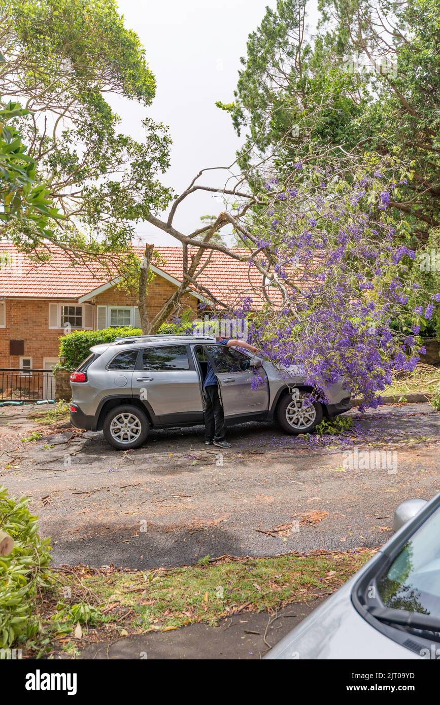 Sydney Aust Nov 26th 2019: A sudden storm ripped through suburbs in ...