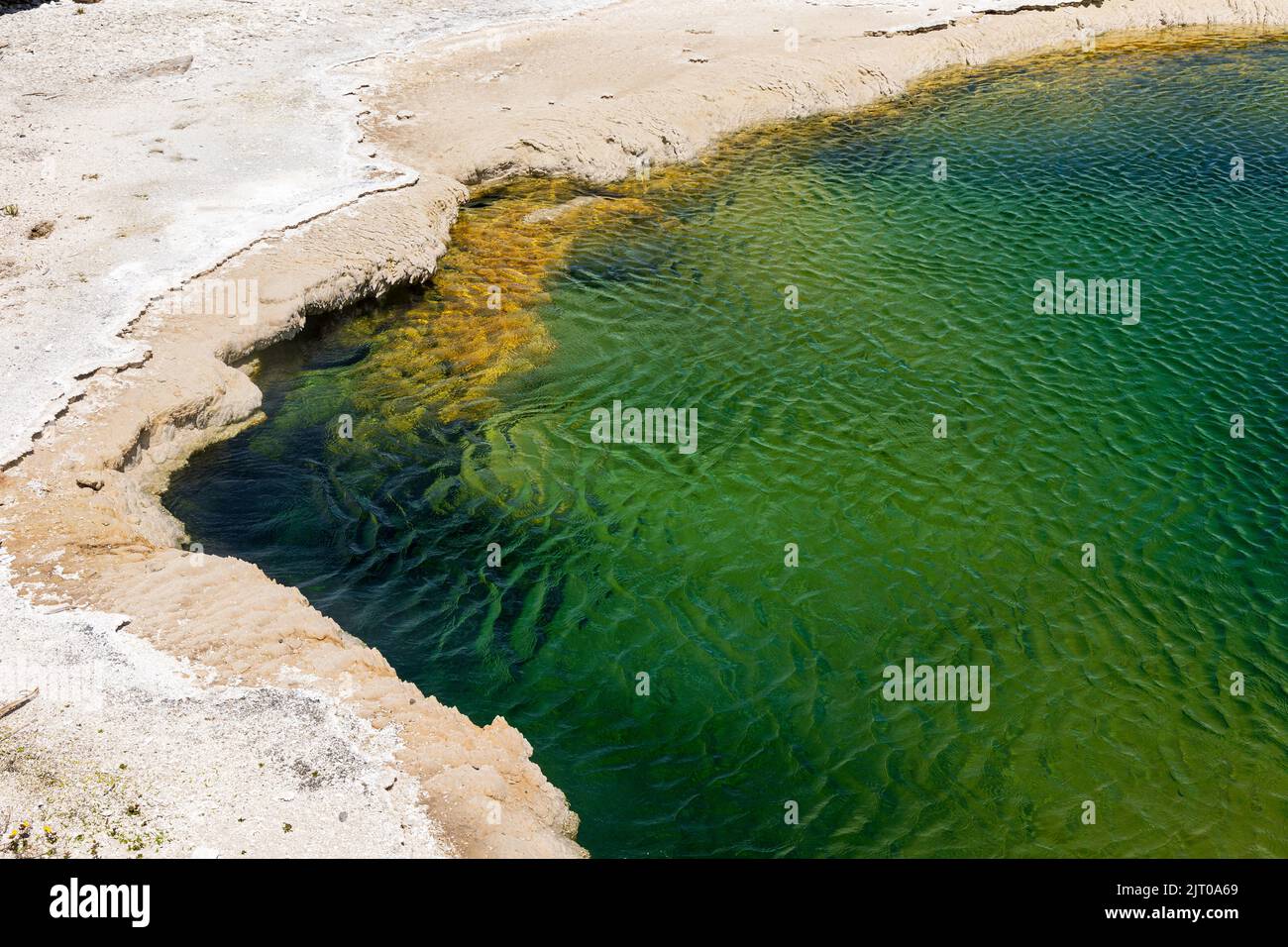 Looking into green water of Yellowstone's Black Pool, Yellowstone ...