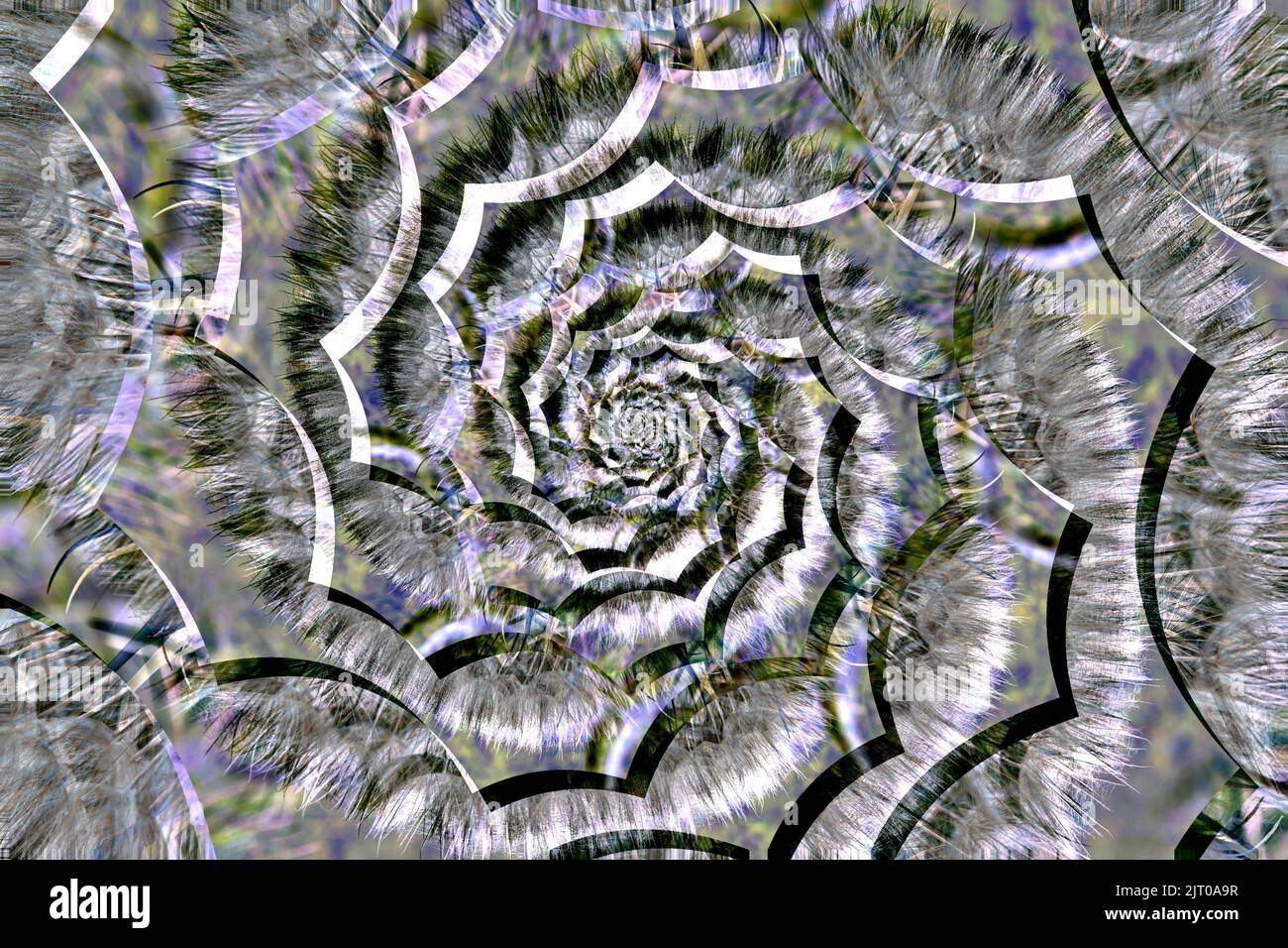 Abstract spiral floral pattern background Stock Photo - Alamy