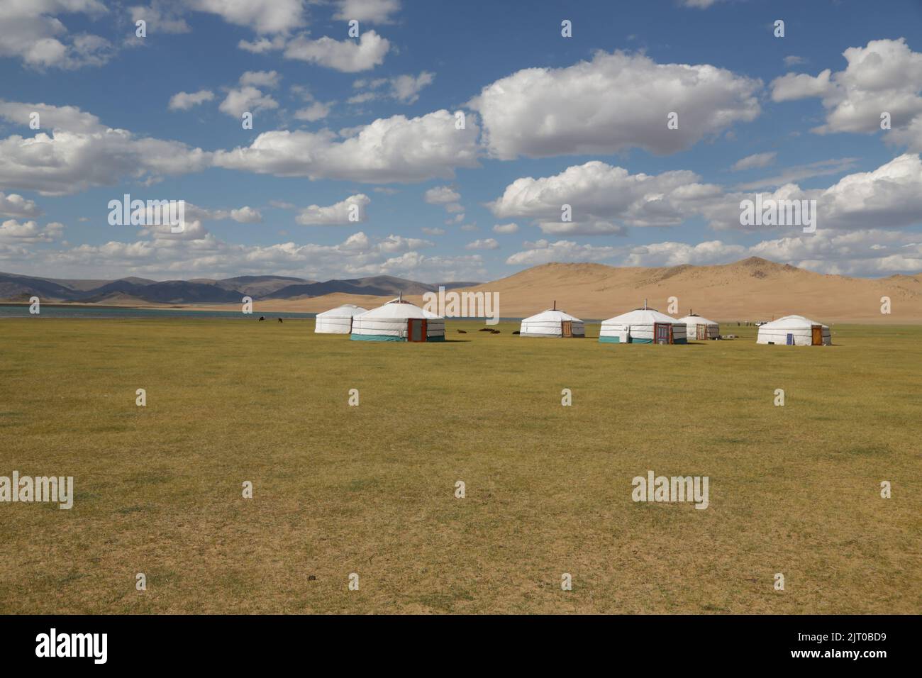 in the land of mongolia the nature and environment Stock Photo - Alamy