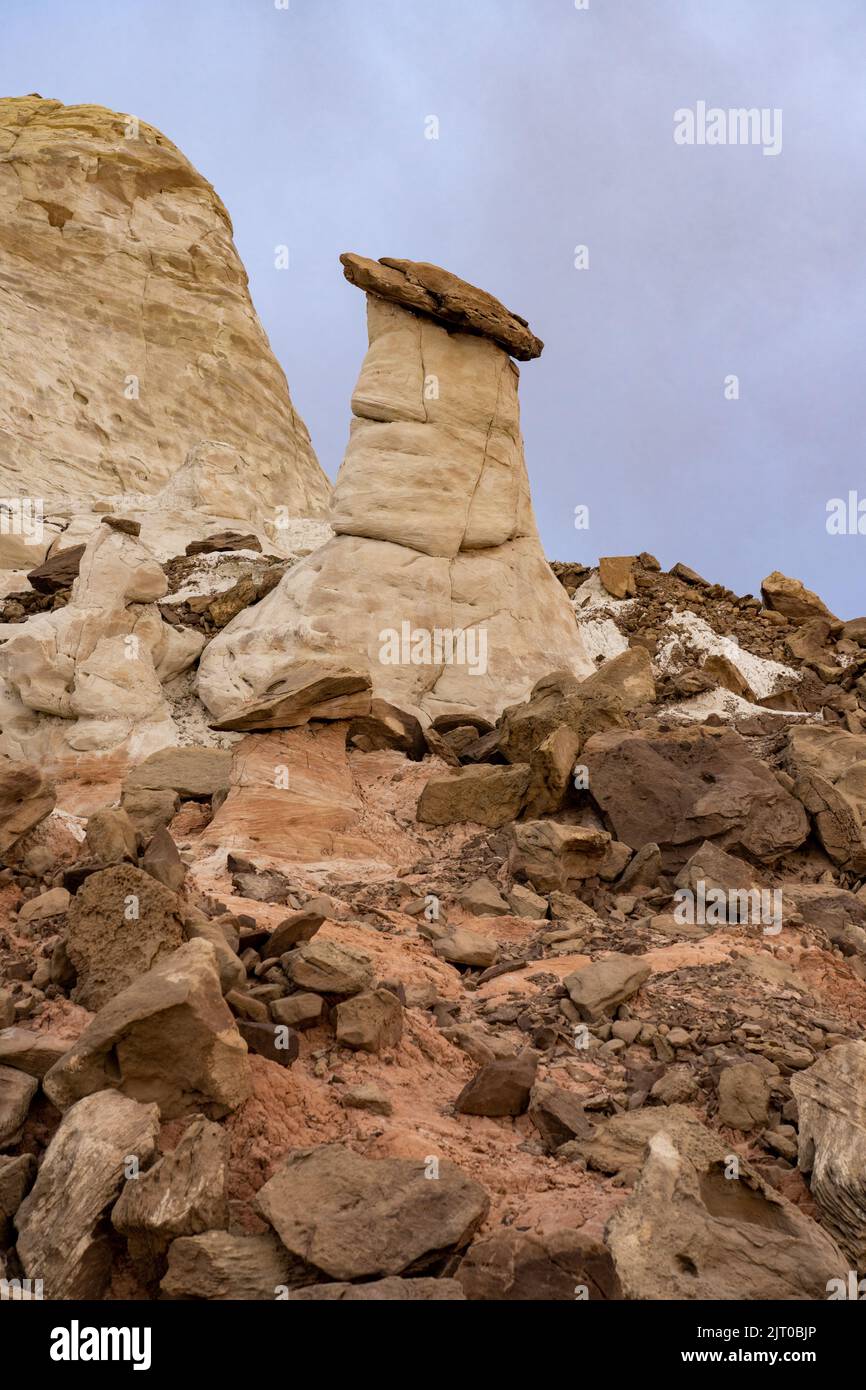 A sandstone hoodoo, Toadstools area, Paria Rimrocks, Grand Staircase ...