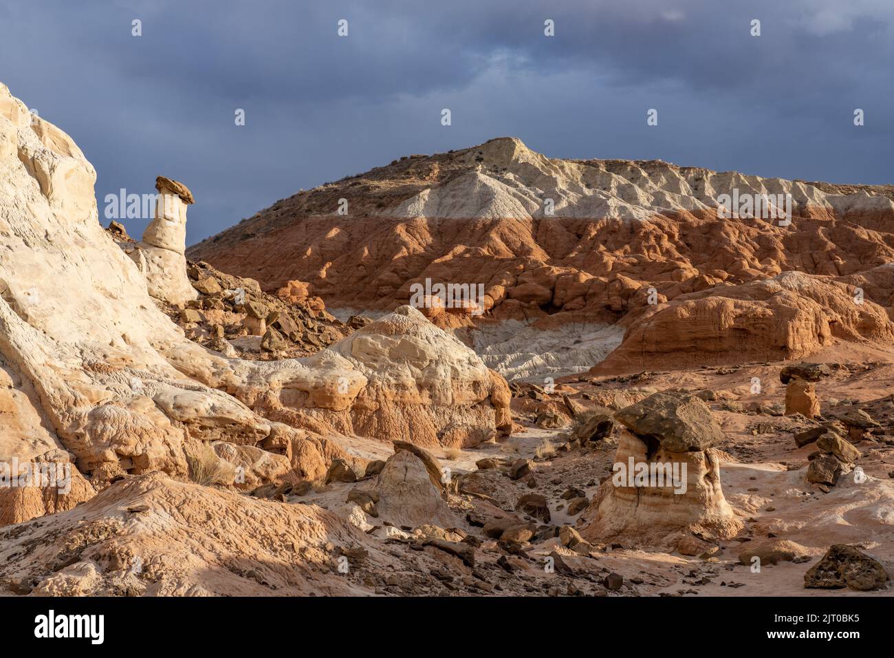 Sandstone hoodoos, Toadstools area, Paria Rimrocks, Grand Staircase ...