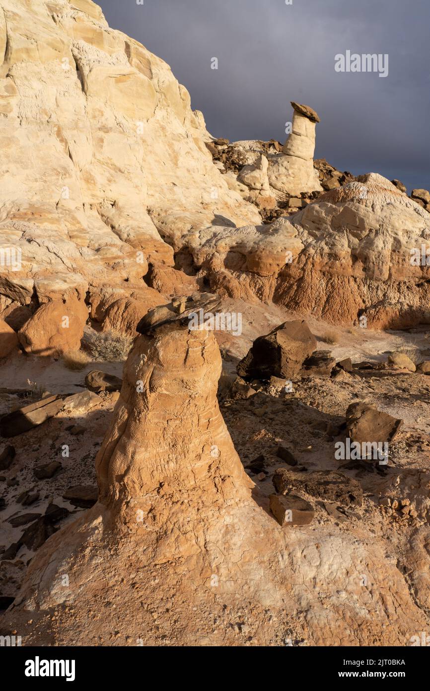 Sandstone hoodoos, Toadstools area, Paria Rimrocks, Grand Staircase ...