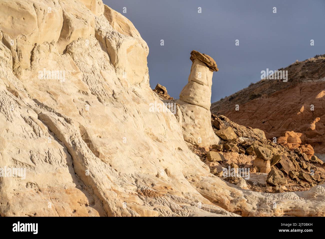 A sandstone hoodoo, Toadstools area, Paria Rimrocks, Grand Staircase ...