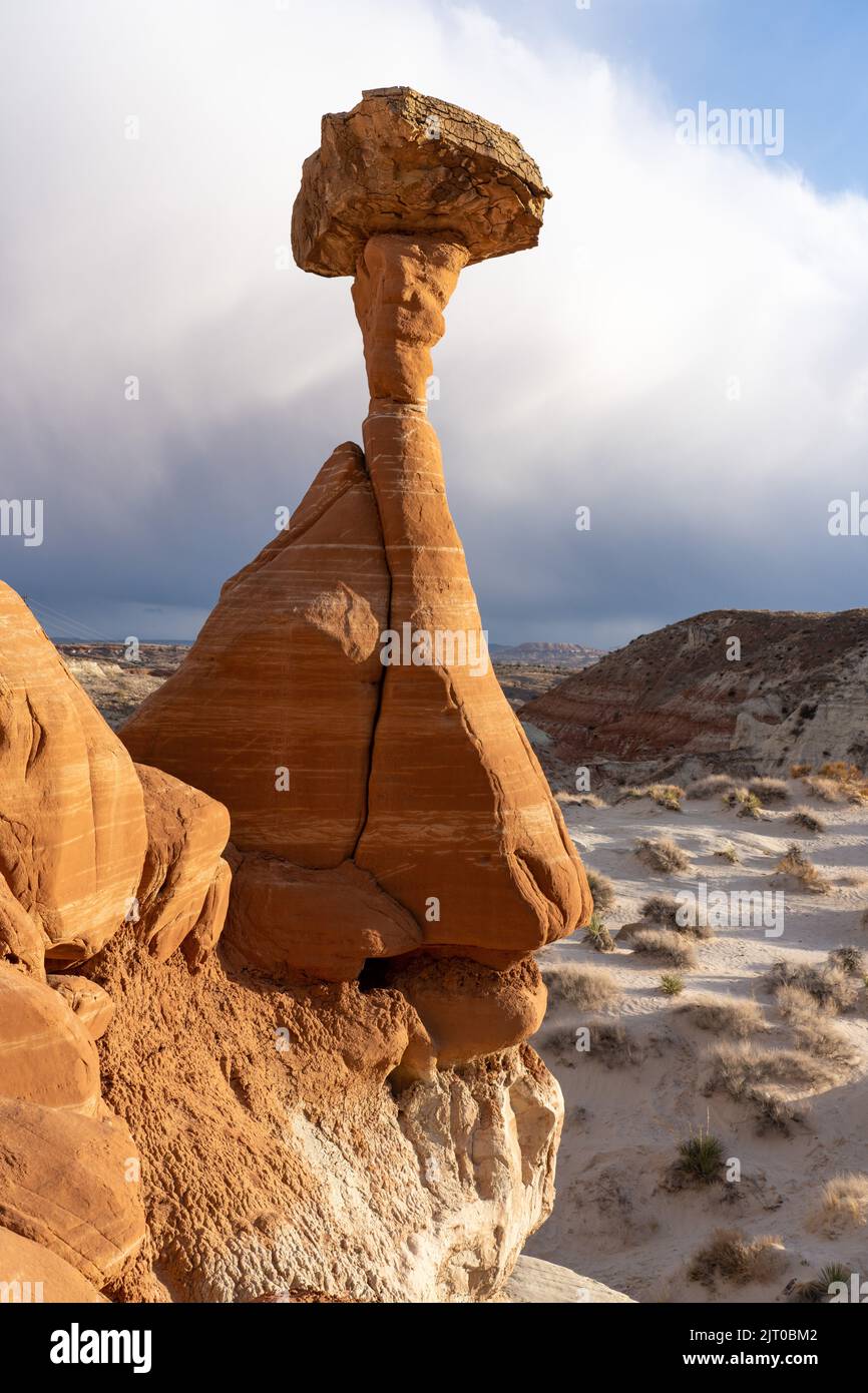 Aka red toadstool hi-res stock photography and images - Alamy