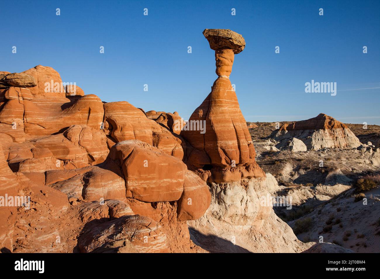 The Red Hoodoo or Toadstool Hoodoo, Paria Rimrocks, Grand Staircase ...