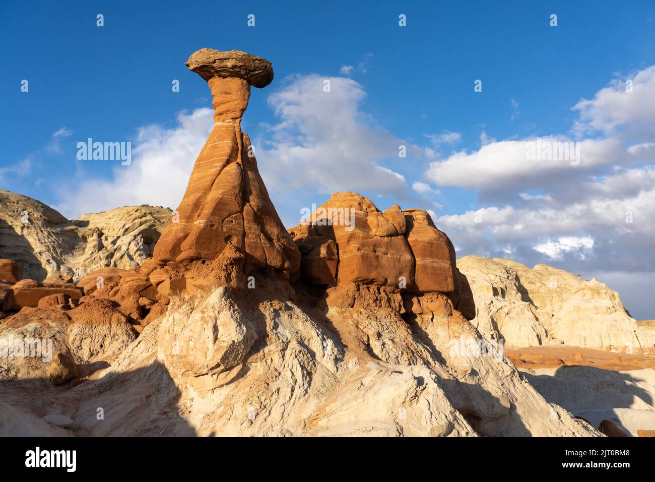 Aka red toadstool hi-res stock photography and images - Alamy