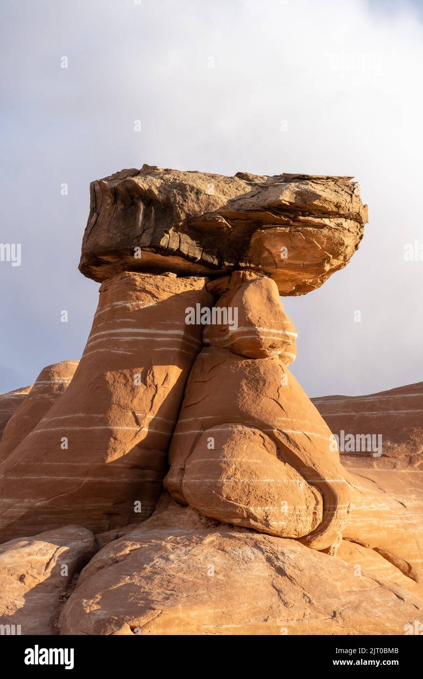 A sandstone hoodoo, Toadstools area, Paria Rimrocks, Grand Staircase ...