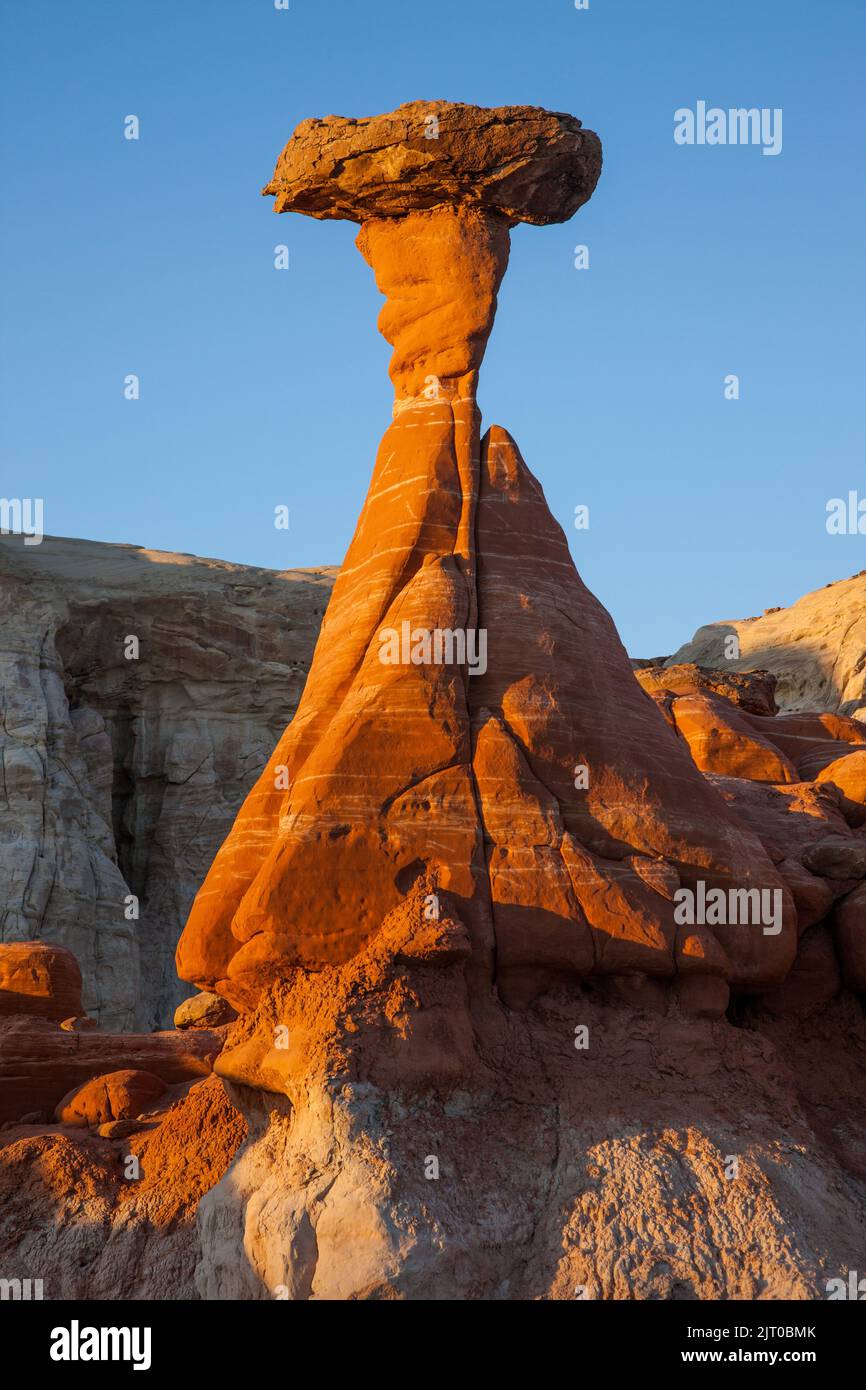 The Red Hoodoo or Toadstool Hoodoo, Paria Rimrocks, Grand Staircase ...