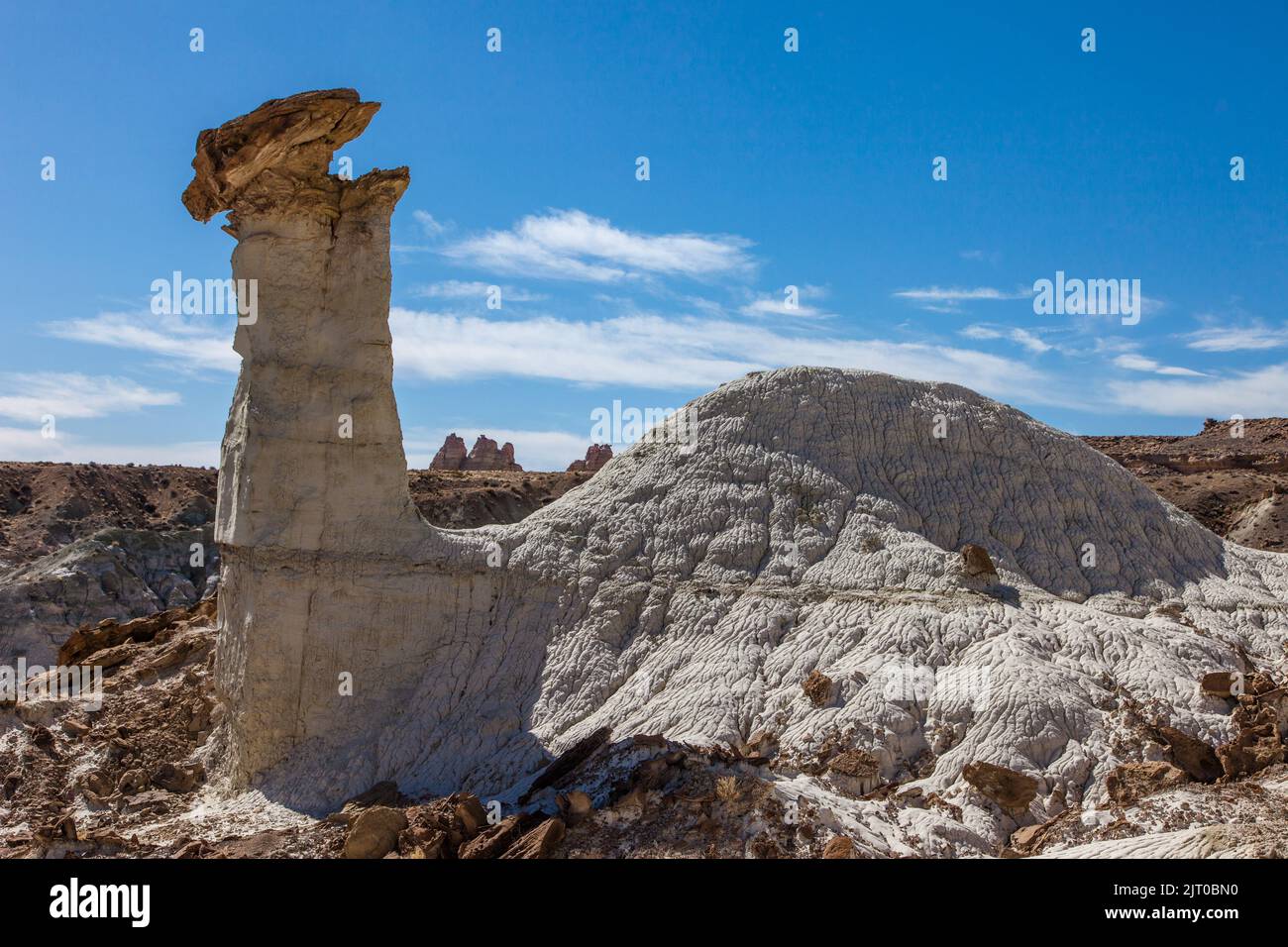 Camel Rock, a hoodoo in the Upper White Rocks. Paria Rimrocks, Grand ...