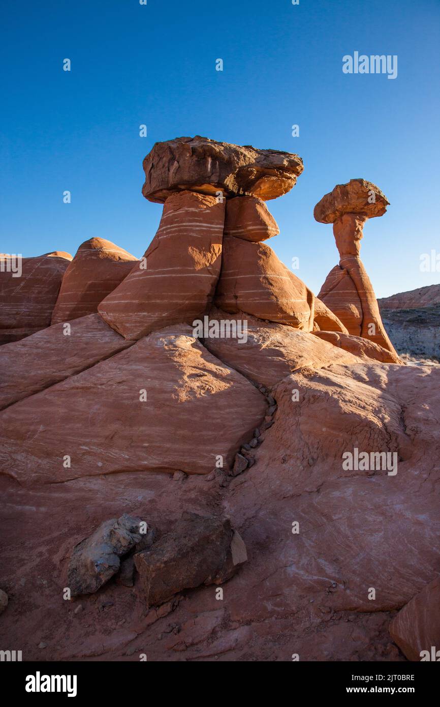 The Red Hoodoo or Toadstool Hoodoo, Paria Rimrocks, Grand Staircase ...