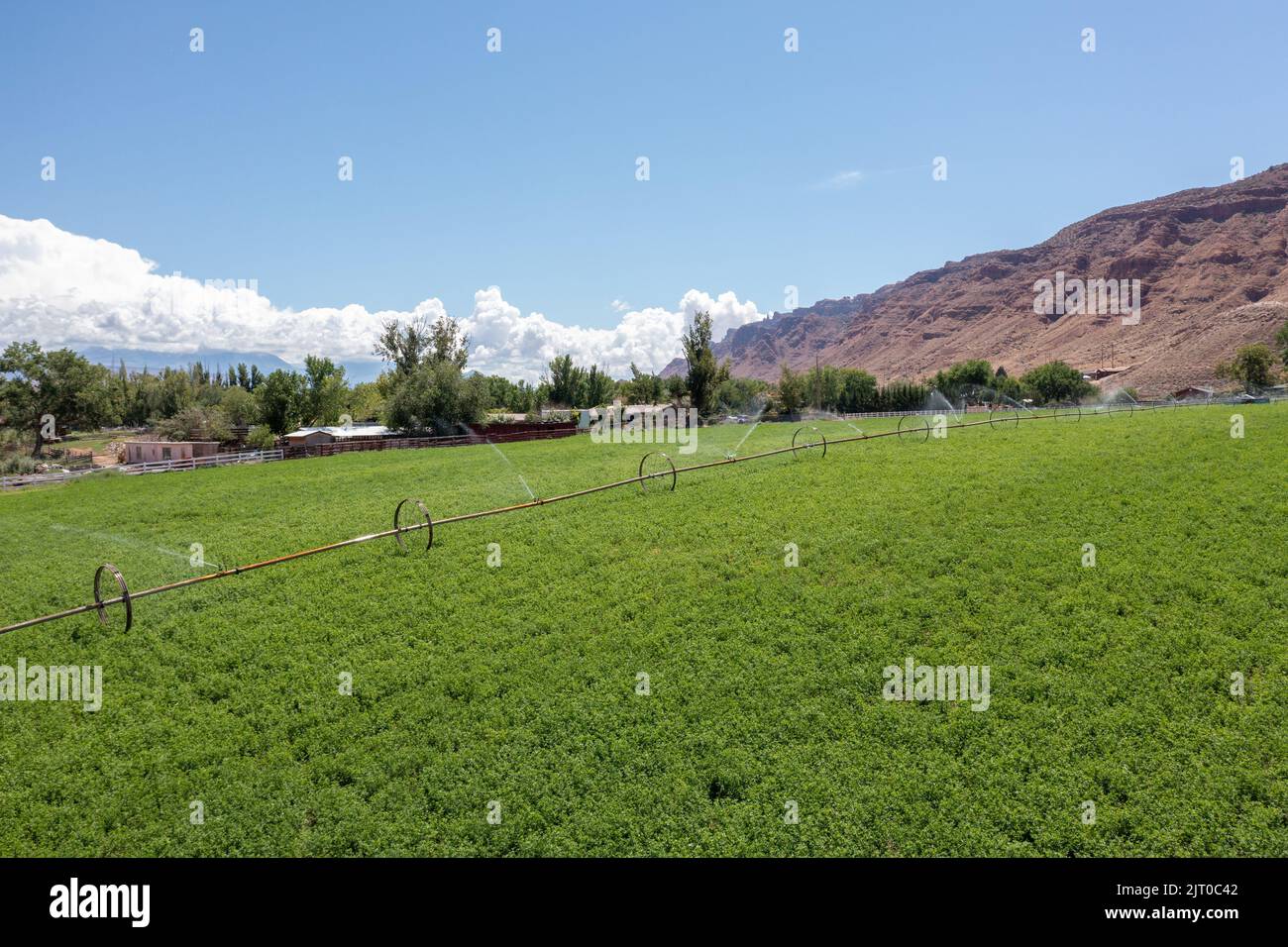 Low aerial view of a wheel line or sideroll irrigation system watering ...