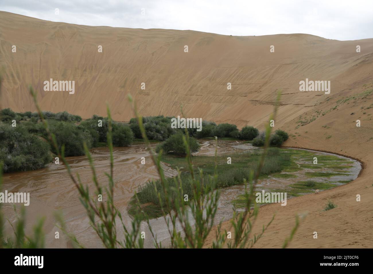in the land of mongolia the nature and environment Stock Photo - Alamy