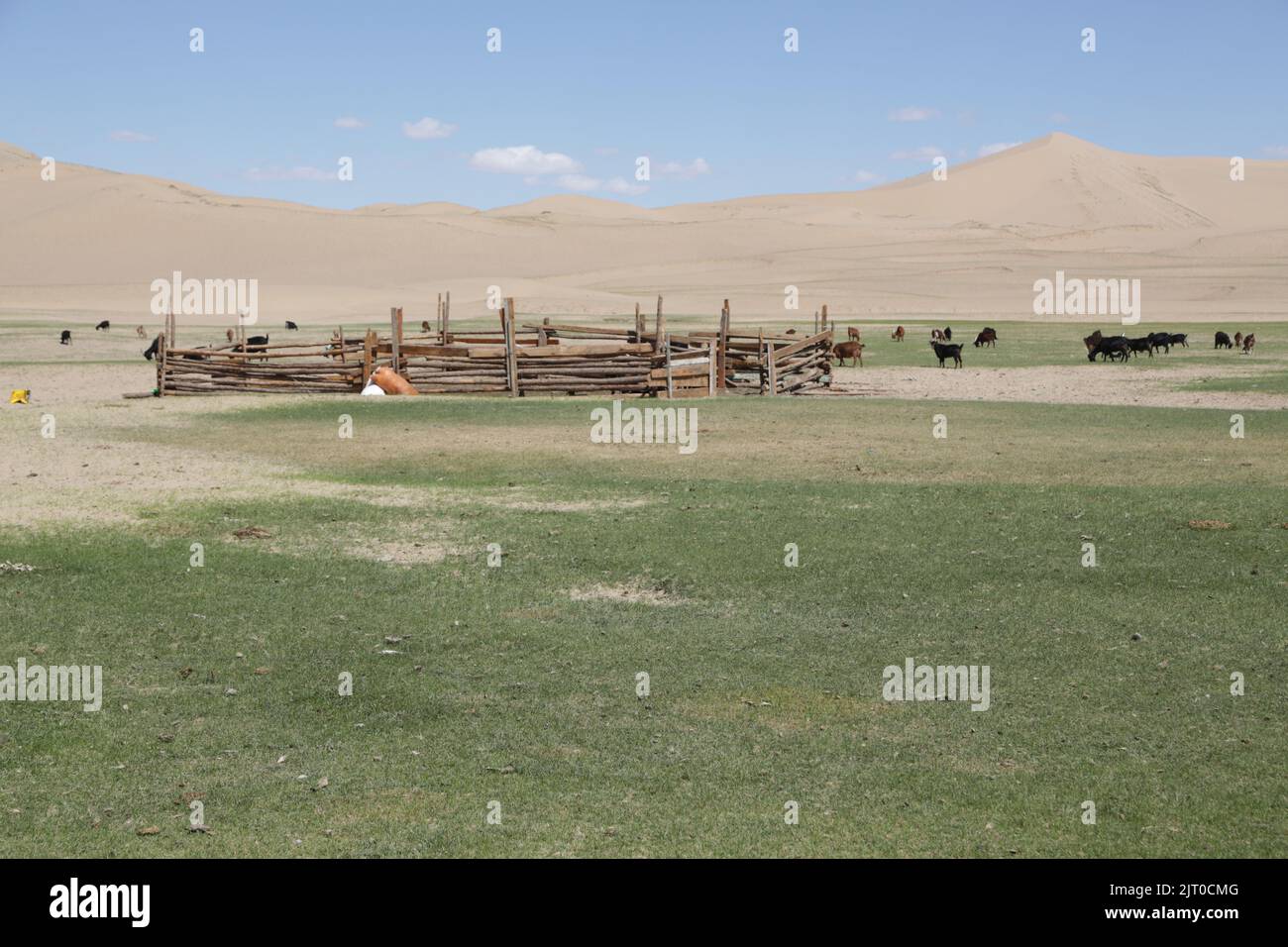 in the land of mongolia the nature and environment Stock Photo - Alamy