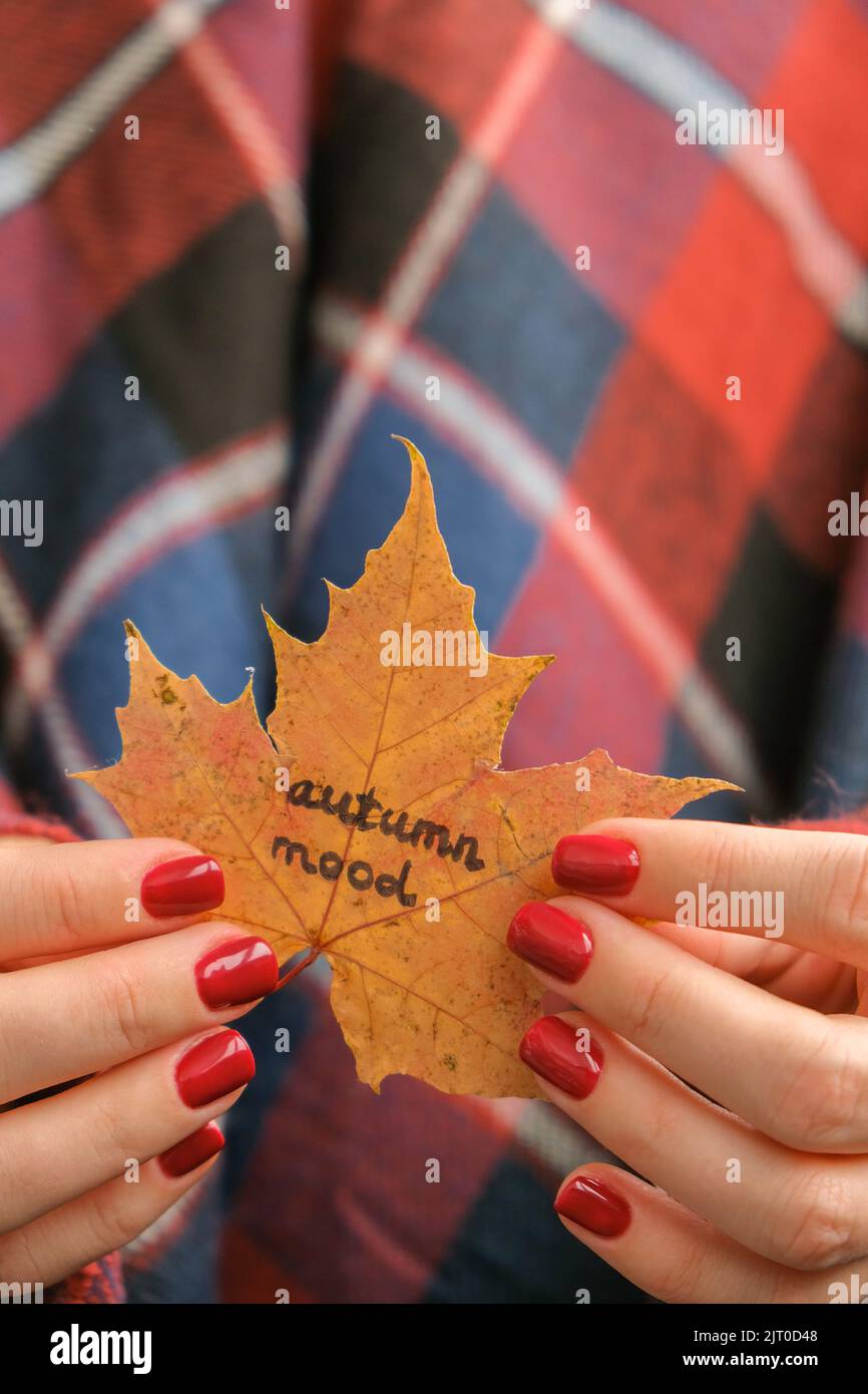 Stylish red female nails. Fall leaf with text AUTUMN MOOD in hands ...