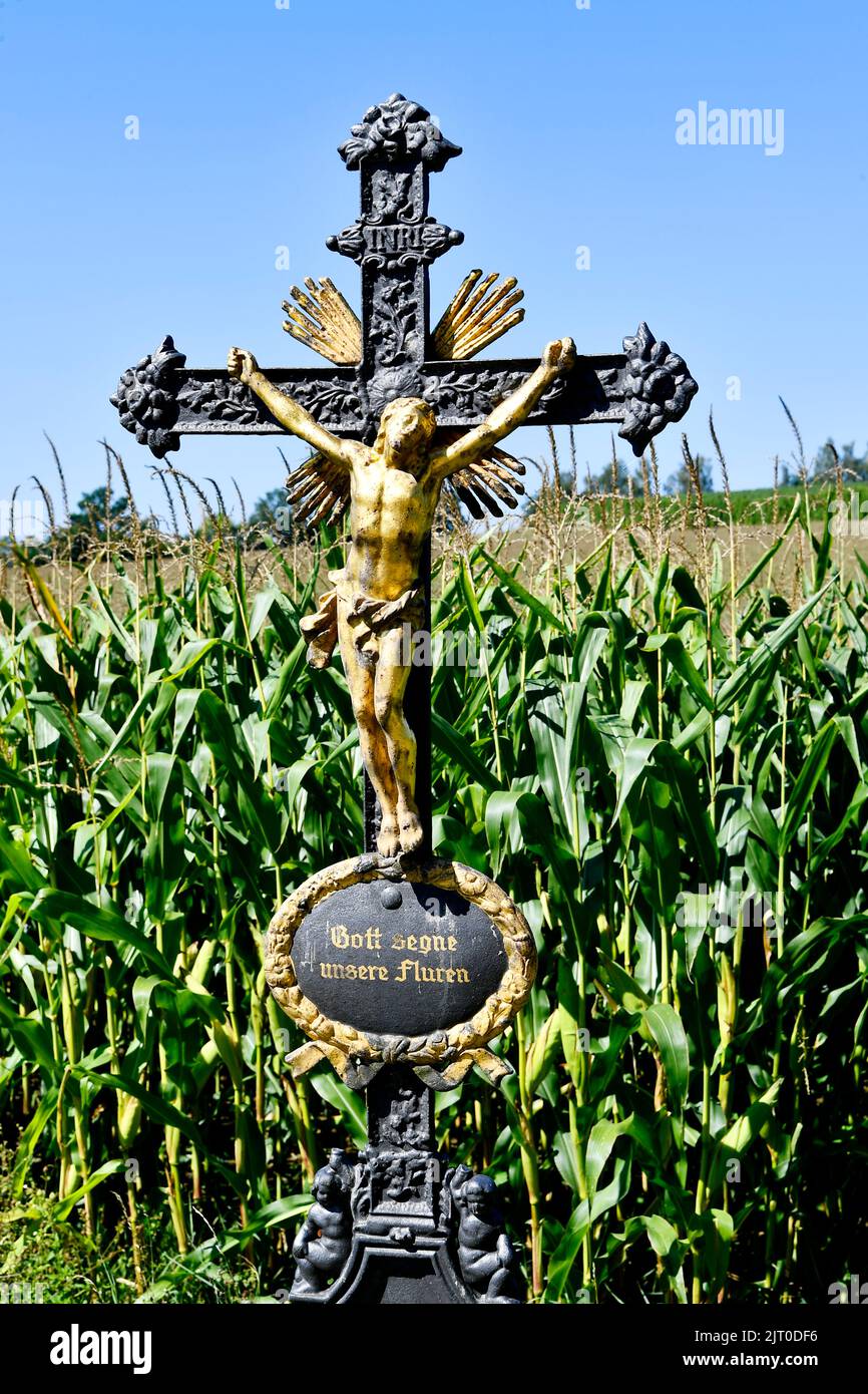 Corridor cross, cross on field, field, wayside cross, road cross ...