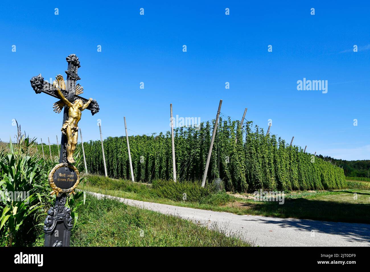 Corridor cross, cross on field, field, wayside cross, road cross ...