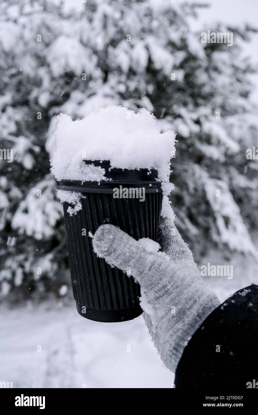 Female hand in winter warm gloves holding black eco paper cup. Winter ...