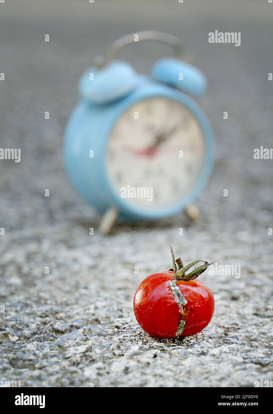 Red tomatoes isolated on white Stock Photo - Alamy