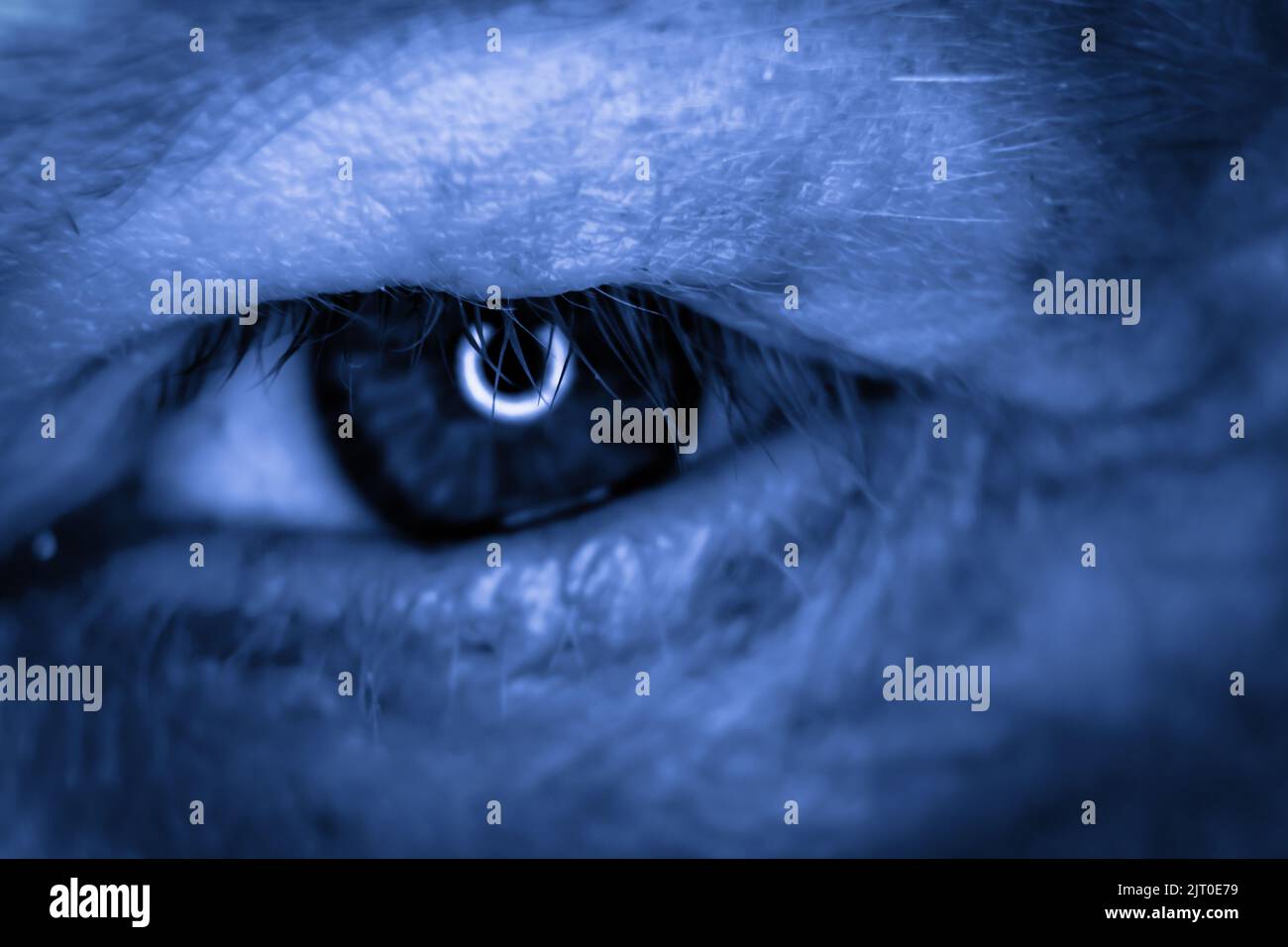 White ring eye pupil hi-res stock photography and images - Alamy