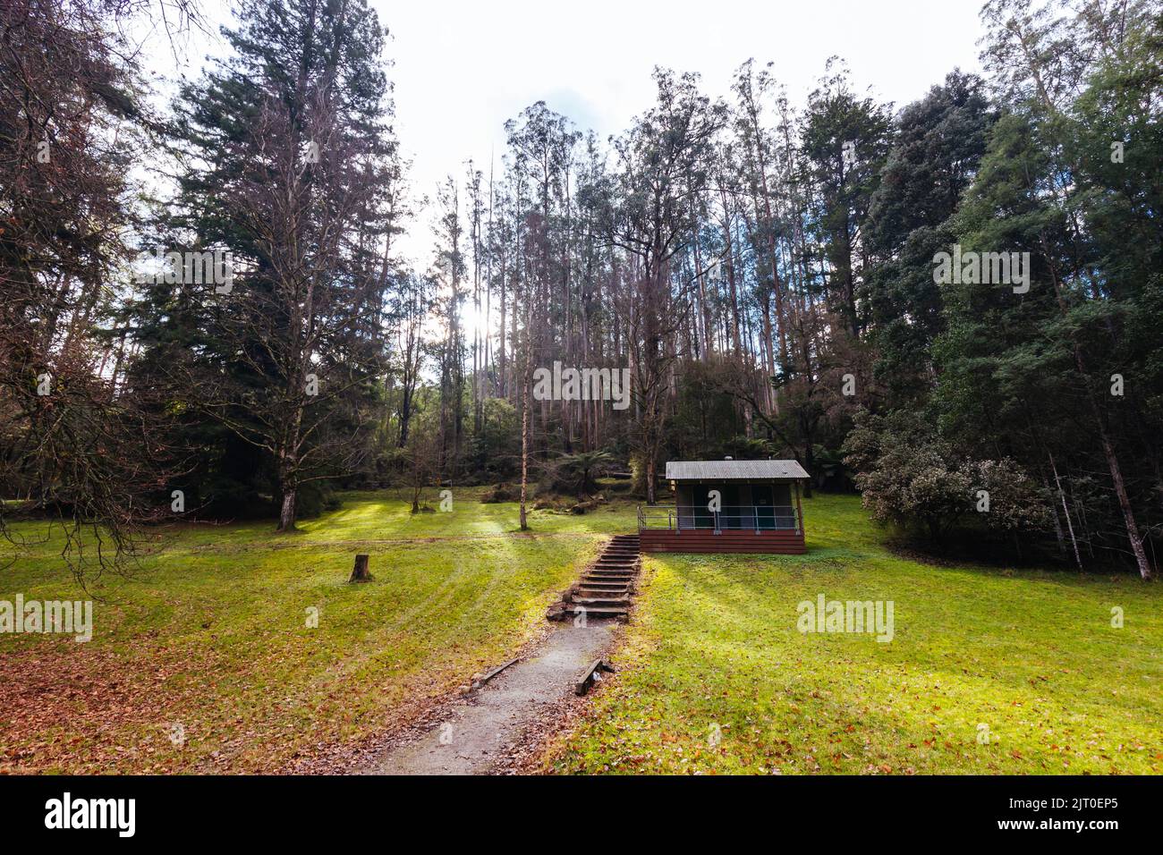 Fernshaw Picnic Ground in Victoria Australia Stock Photo - Alamy