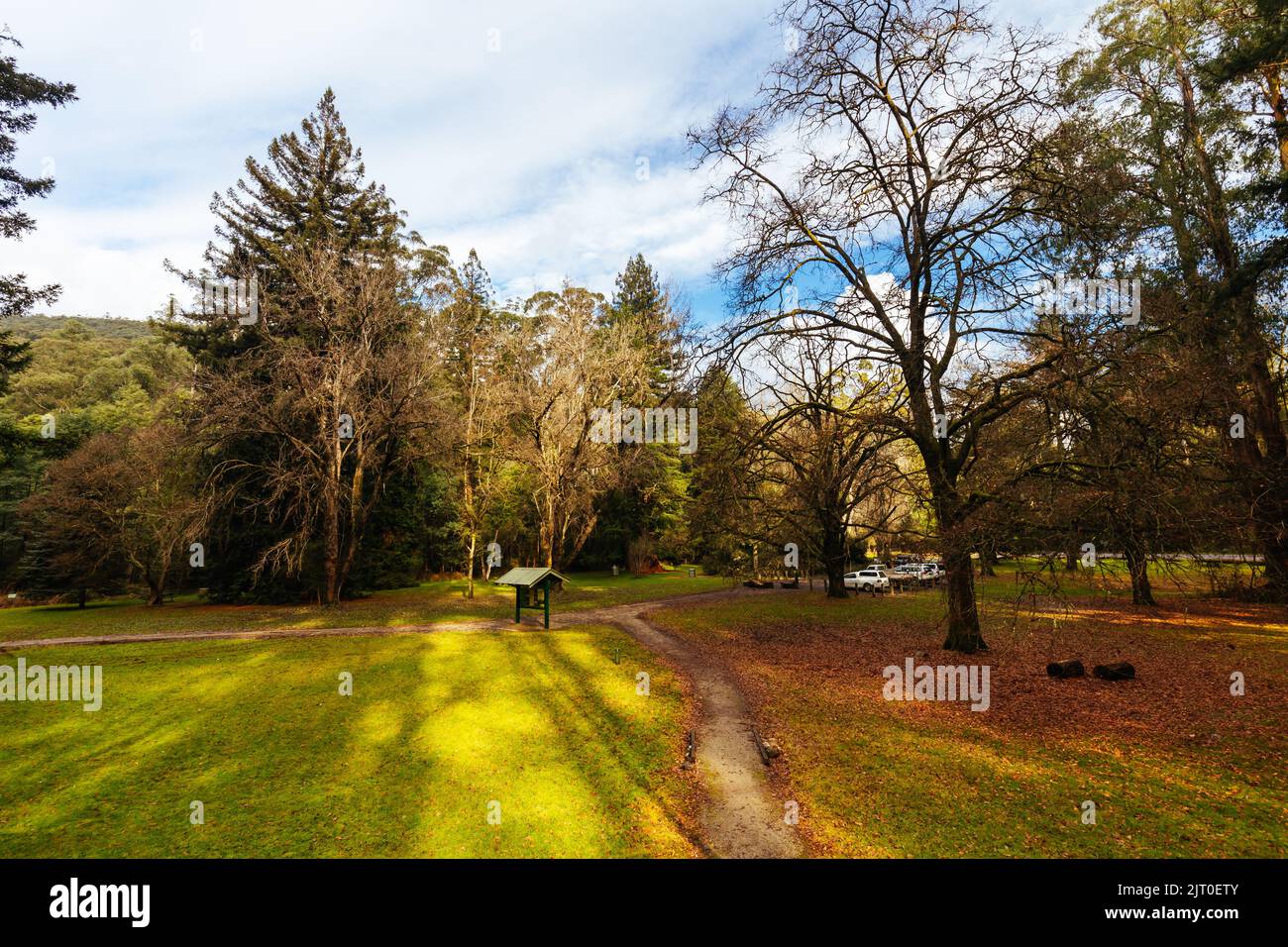 Fernshaw Picnic Ground in Victoria Australia Stock Photo - Alamy