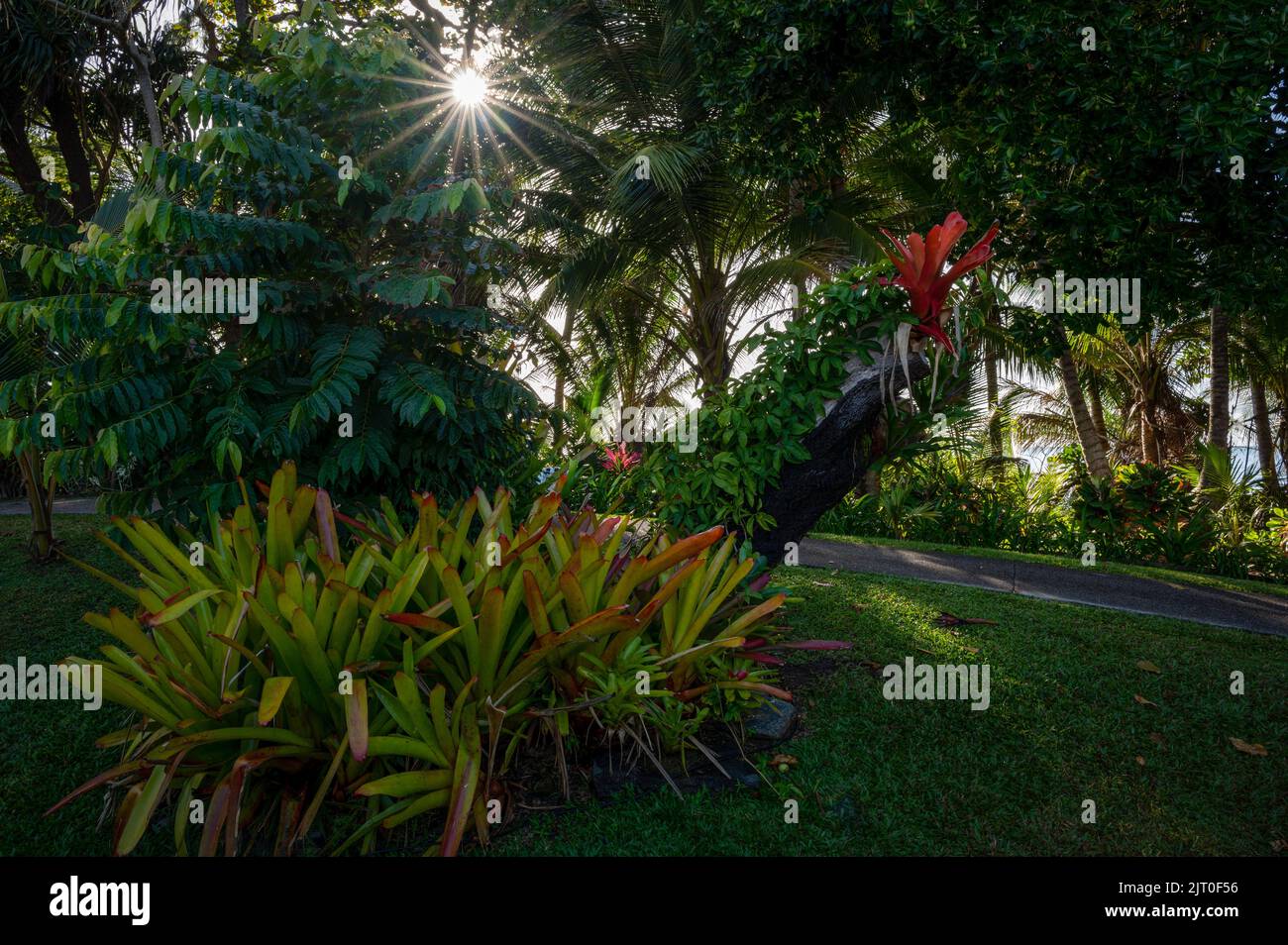 A beautifully arranged tropical garden for guests at the Sheraton ...