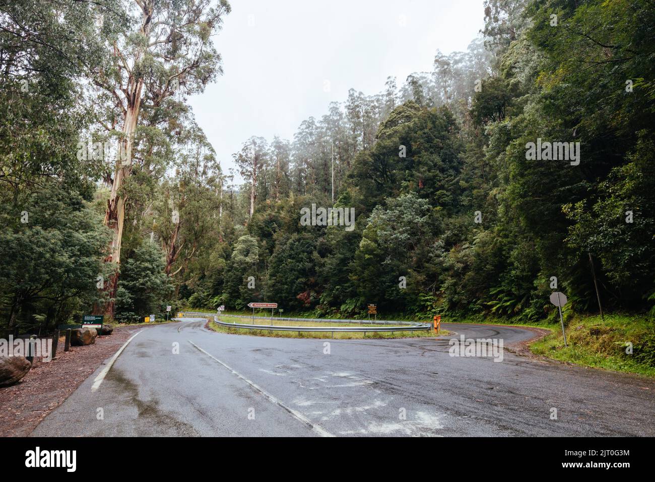 Rainforest Gallery Warburton in Victoria Australia Stock Photo - Alamy