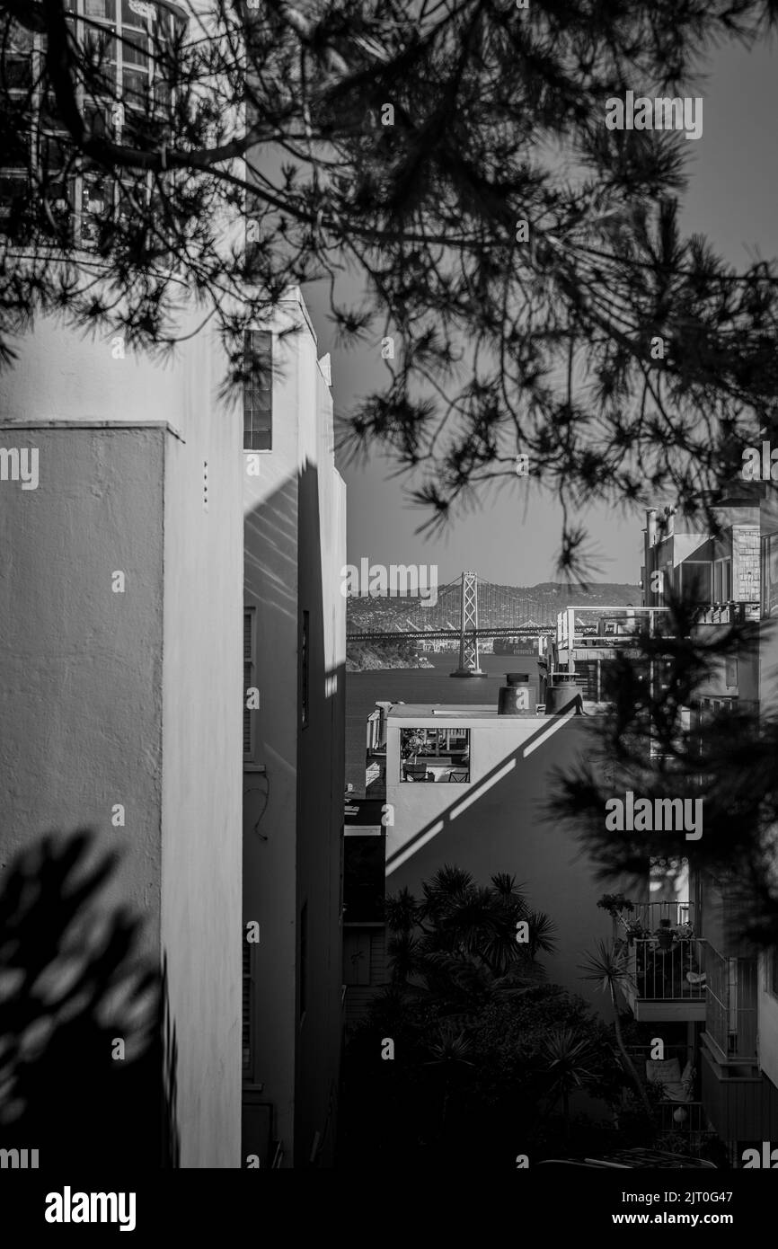 A vertical shot of modern buildings in black and white in San Francisco ...