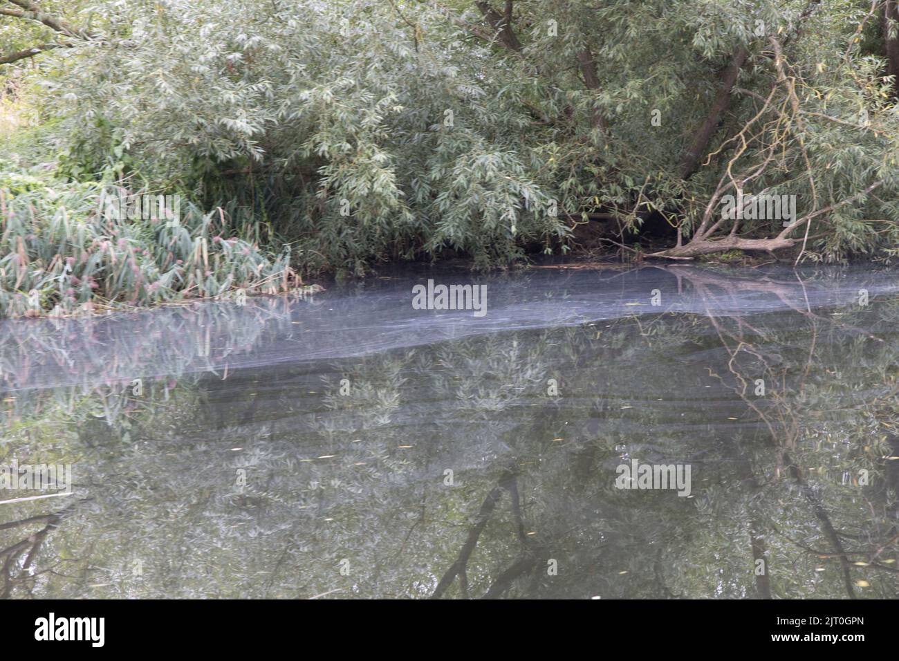 Sewage outflow from storm drain colouring the River Avon Warkwickshire ...