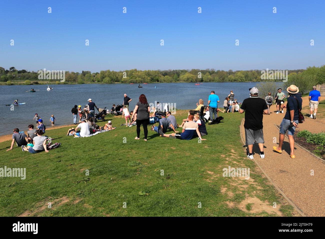 Summer view over Ferry Meadows country park, Peterborough ...