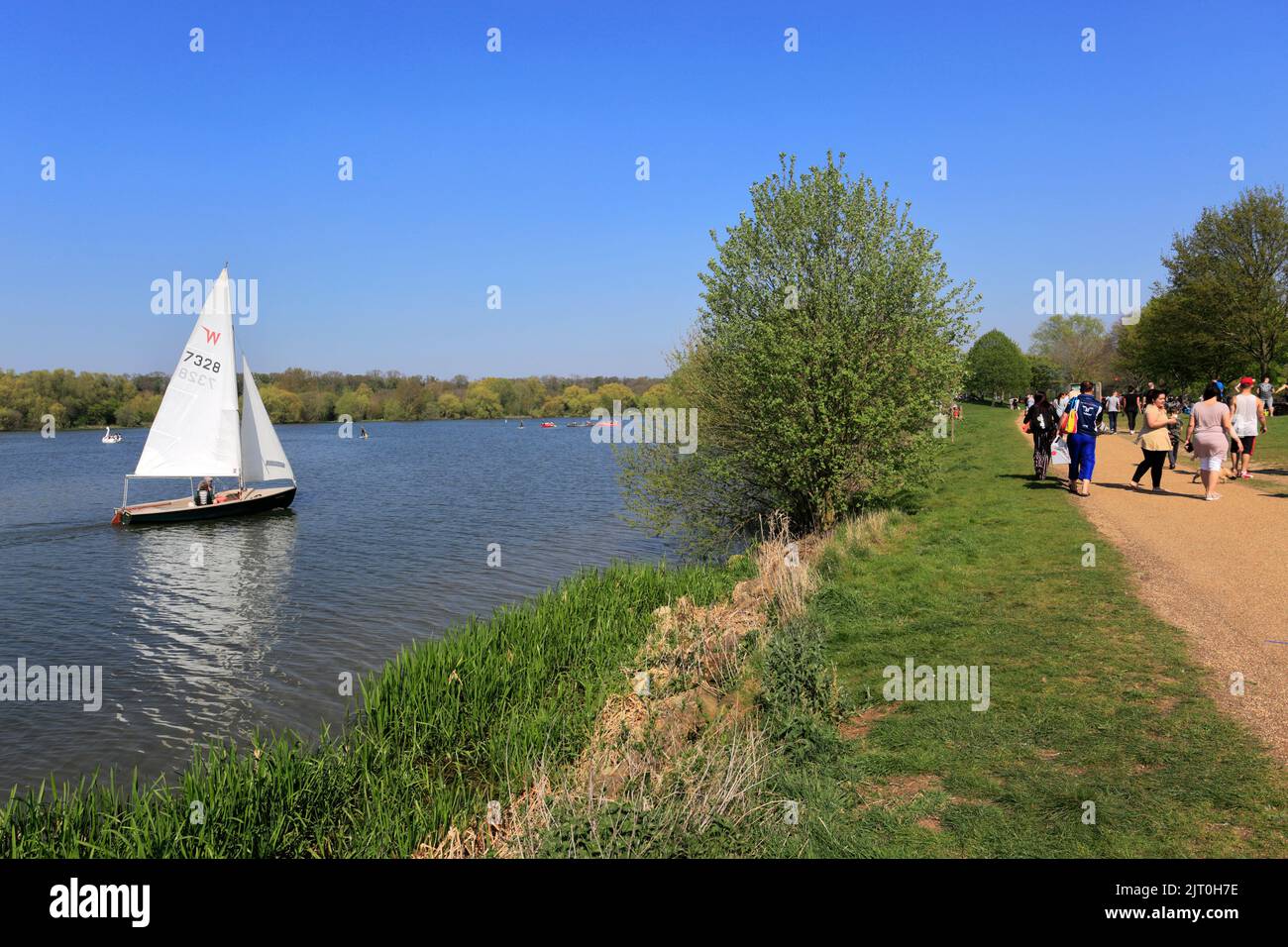 Summer view over Ferry Meadows country park, Peterborough ...