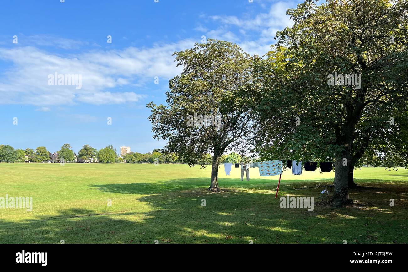 Clothese and Laundry drying in a Park Stock Photo - Alamy