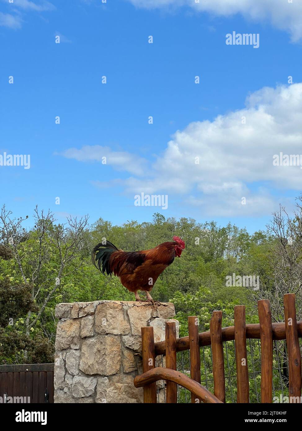 On a brick column hi-res stock photography and images - Alamy