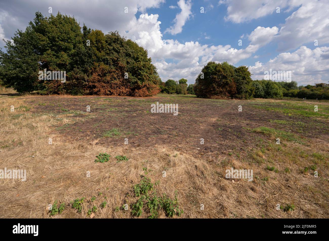 Disposable barbecue fire damage hi-res stock photography and images - Alamy