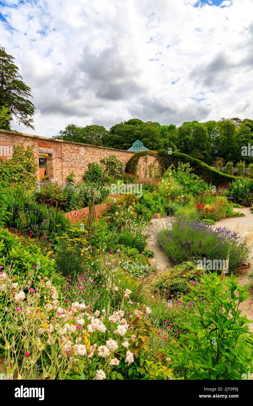 The well stocked and colourful borders in the Cottage Garden in the ...