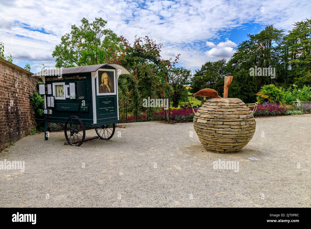 A stone apple artwork and mobile Carl Linnaeus (Swedish botanist ...