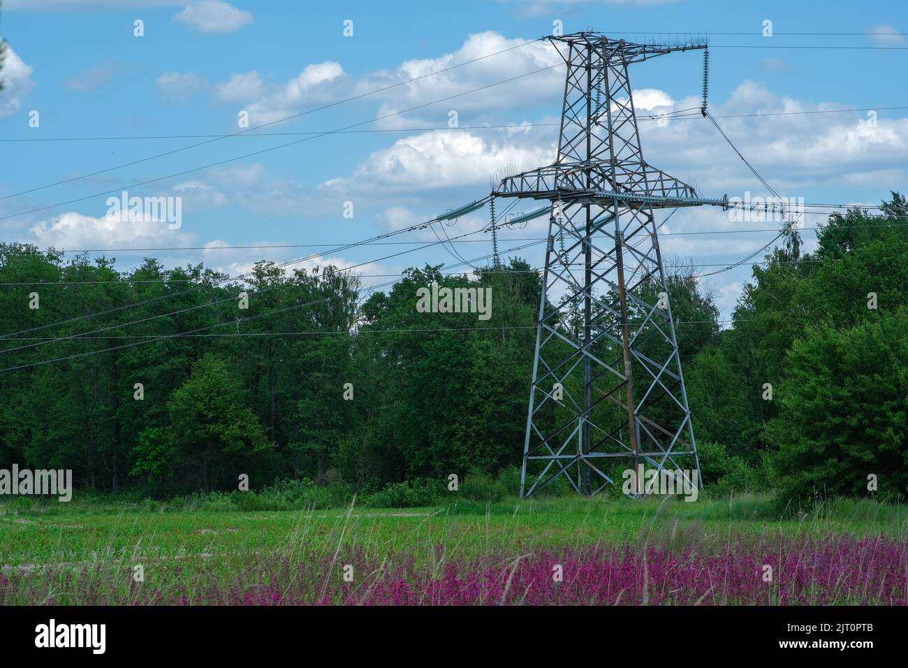 High voltage lines and power pylons in a flat and green agricultural ...