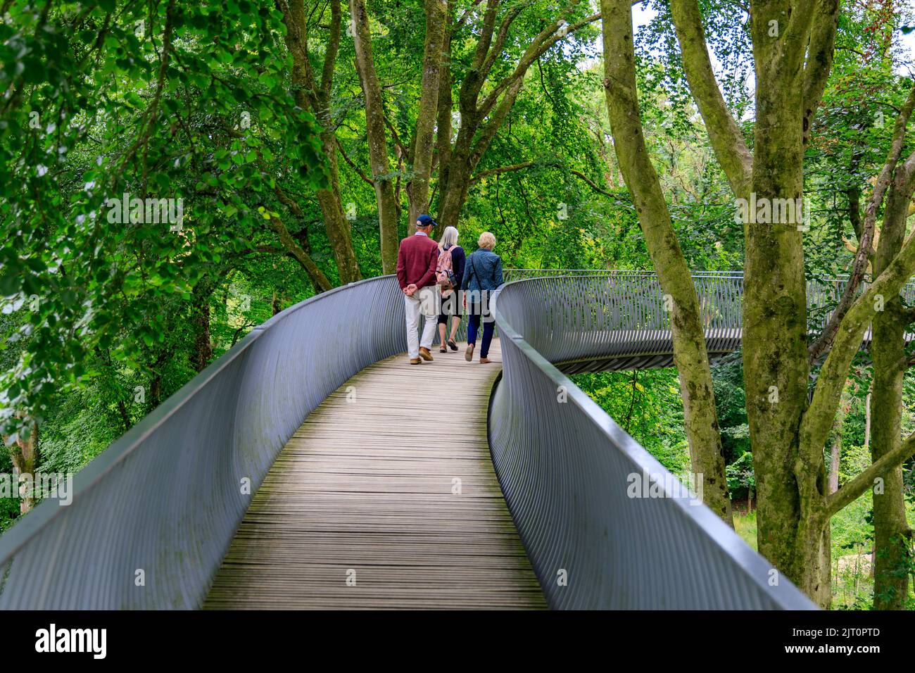 The Viper is an impressive elevated walk through the tree tops at 'The ...