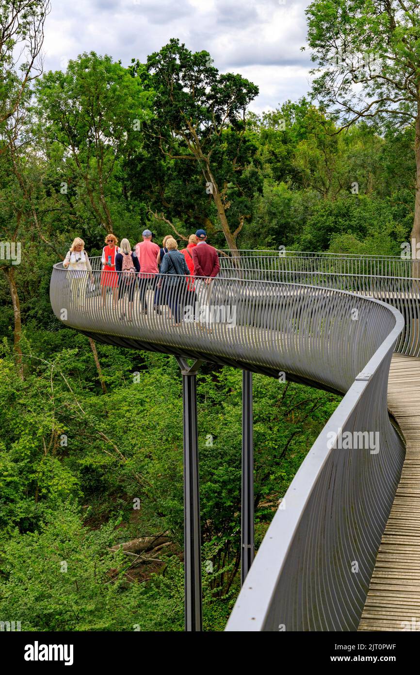 The Viper is an impressive elevated walk through the tree tops at 'The ...