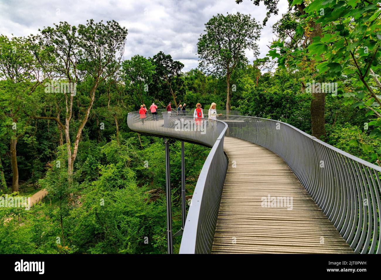 The Viper is an impressive elevated walk through the tree tops at 'The ...