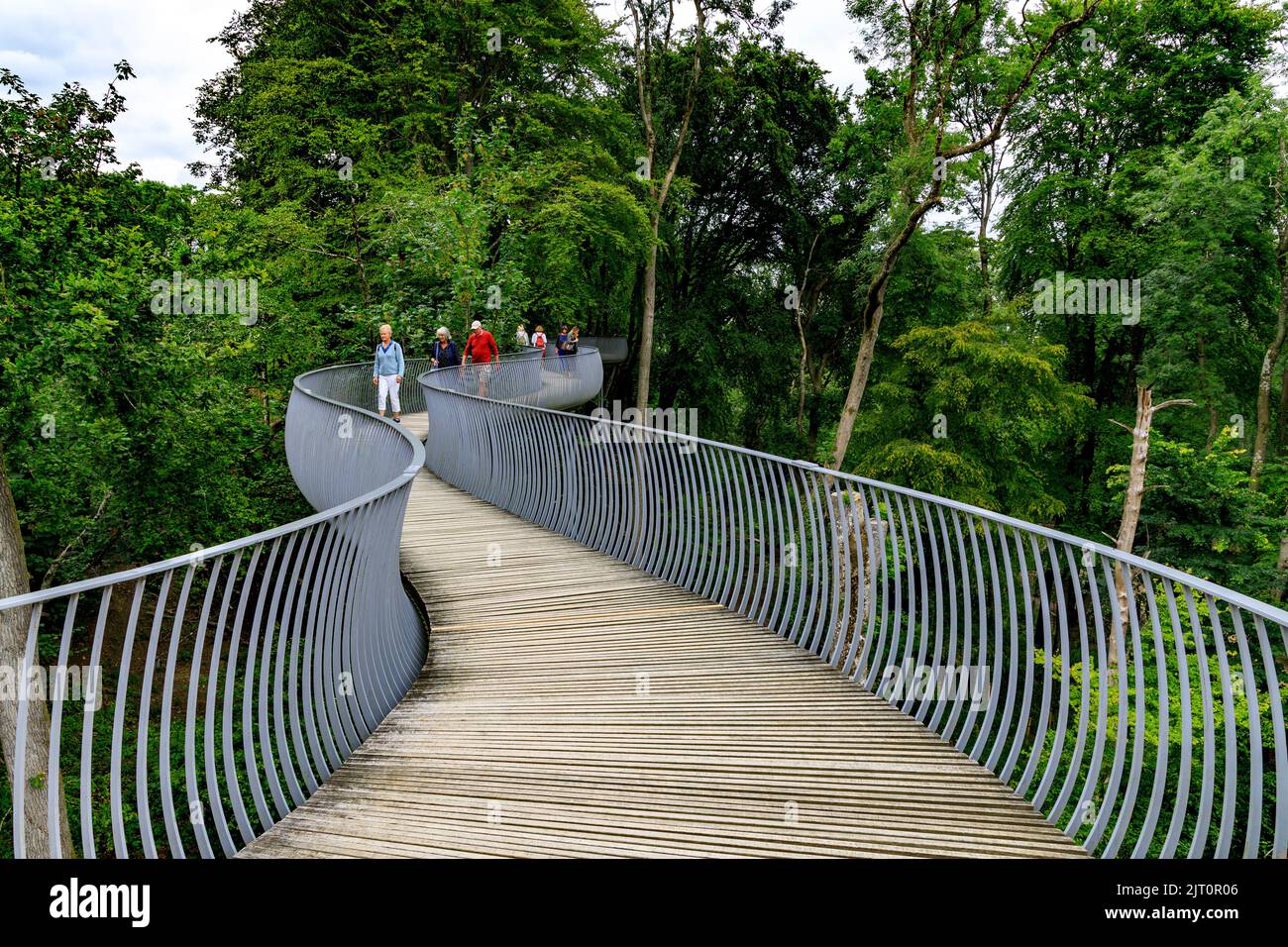 The Viper is an impressive elevated walk through the tree tops at 'The ...