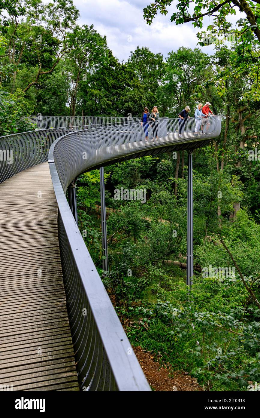 Tree top walk elevated walkway hi-res stock photography and images - Alamy