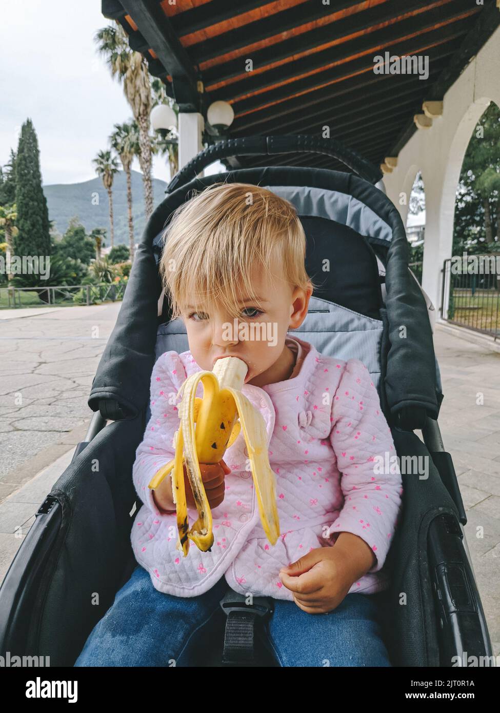 Little girl eats a banana while sitting in a stroller in the garden ...